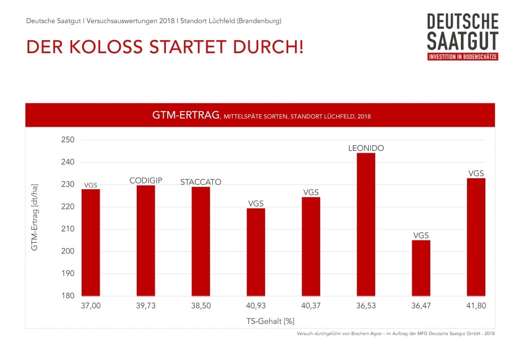 LEONIDO - DER KOLOSS STARTET DURCH - Deutsche Saatgut