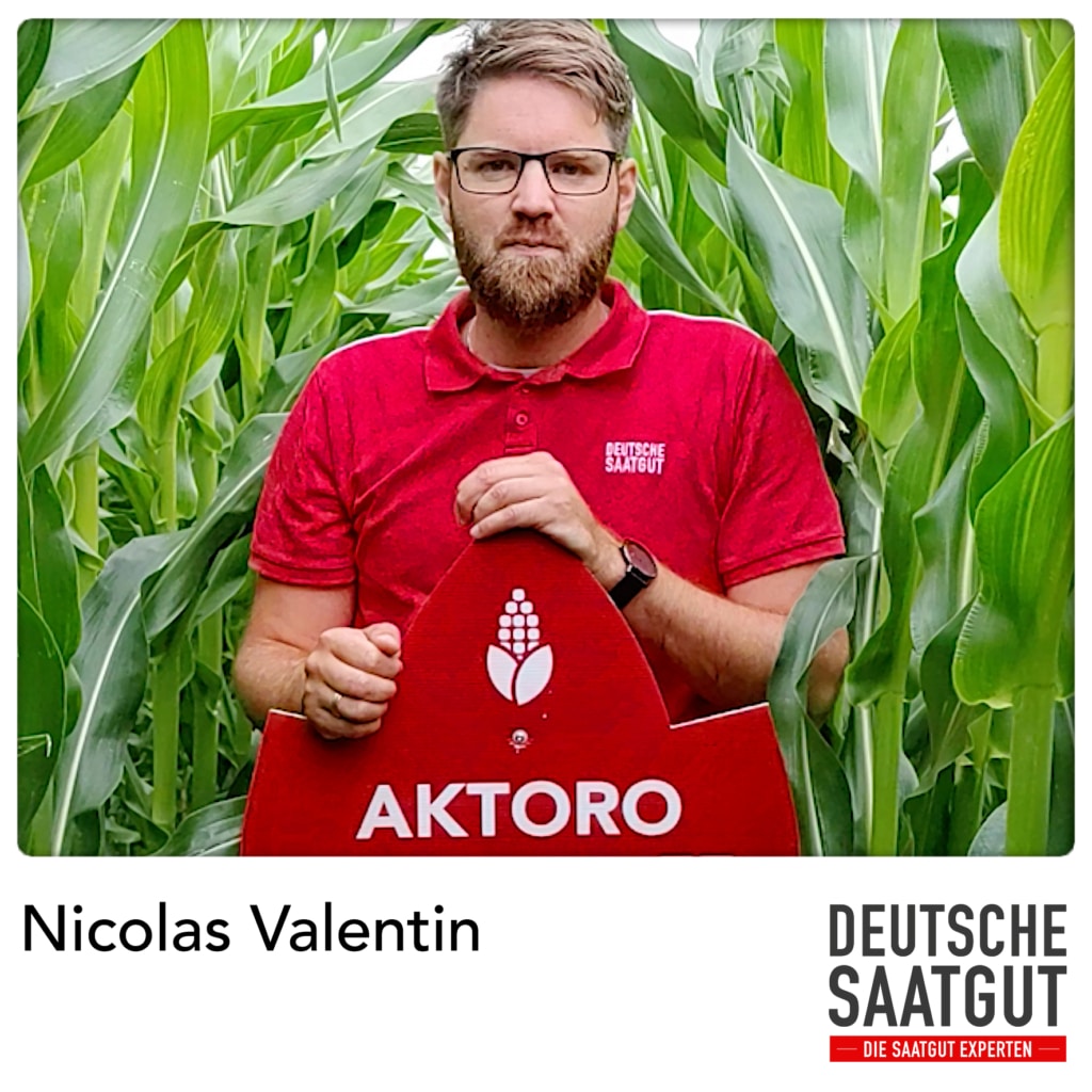 AXARO – Der Grannenweizen - Deutsche Saatgut