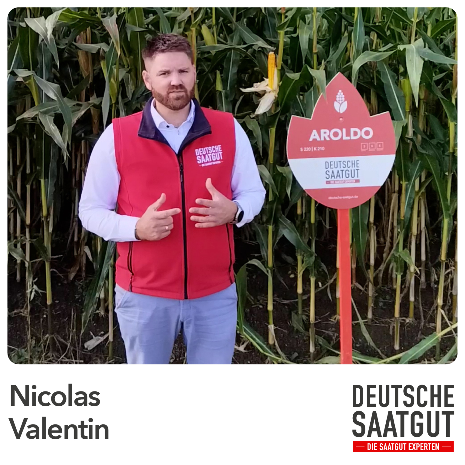 Nicolas Valentin – Sortenvorstellung AROLDO - Deutsche Saatgut